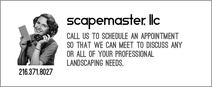 Welcome to Scapemaster | About Us